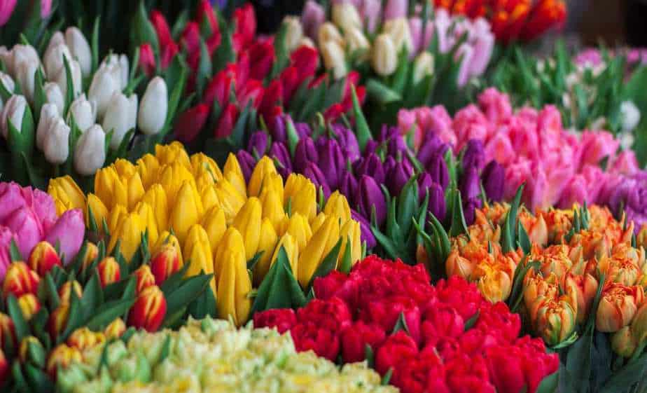 Does Costco Deliver Flowers In 2023 Full Guide Does Costco Deliver Flowers In 2023 Full Guide