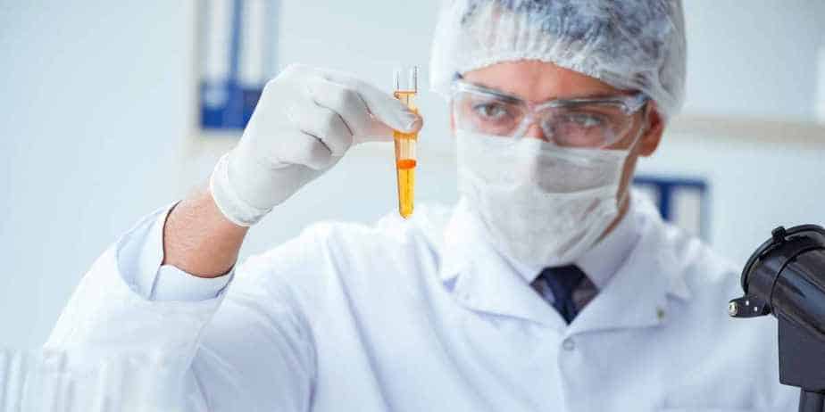 Does Kroger Drug Test In 2022 Warning Must Read does-kroger-drug-test-in-2022-warning-must-read